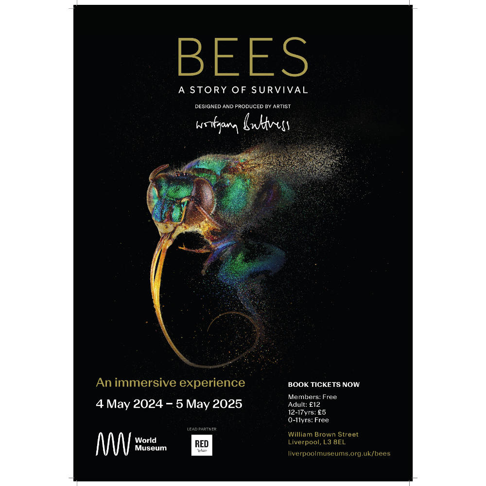 Bees: A story of survival exhibition poster | National Museums ... Bees: A story of survival exhibition poster | National Museums ...