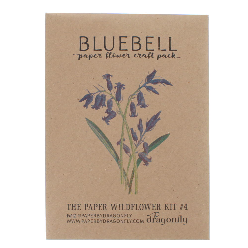 Bluebell wildflower craft kits | National Museums Liverpool shop