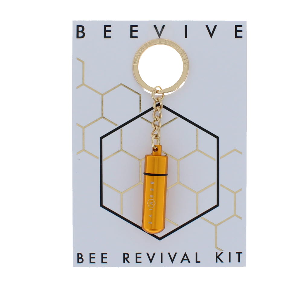 Bee revival kit | Bees | National Museums Liverpool shop