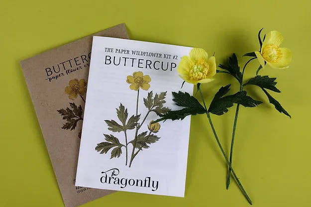 Buttercup wildflower craft kits | National Museums Liverpool shop