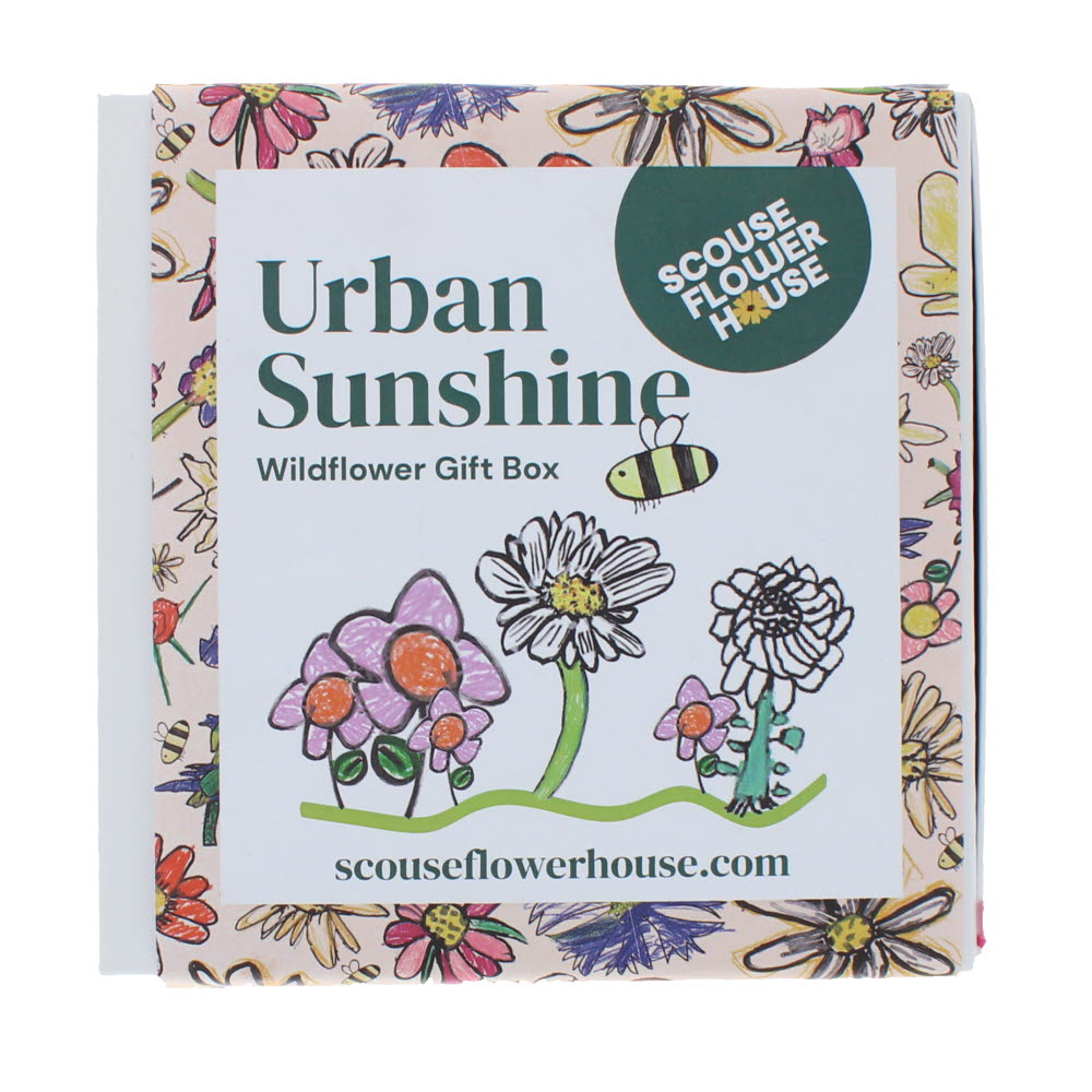 Wildflower gift box by Scouse Flowerhouse | National Museums Liverpool shop