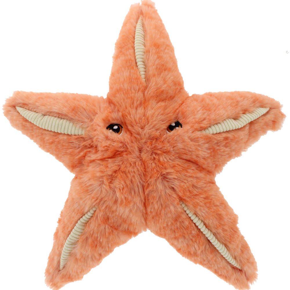 Plush Starfish | Children's Gifts | National Museums Liverpool Shop